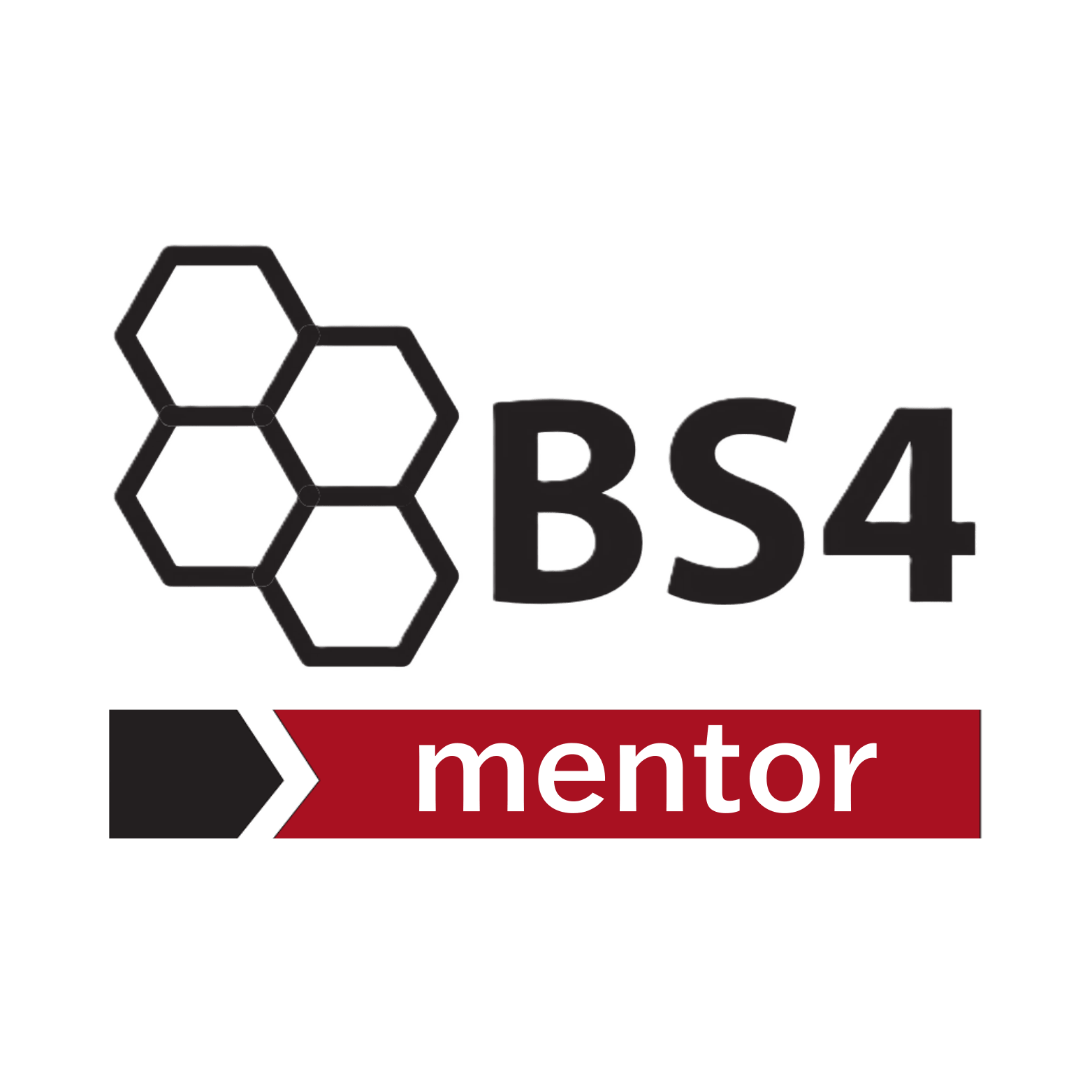 bs4 mentor - oprogramowanie dla firm szkoleniowych – BS4